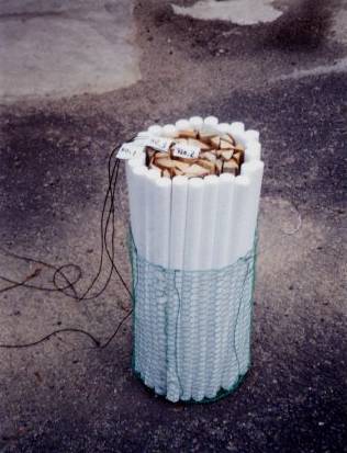 Control of Termite Attack using Trapping Method and AE Monitoring